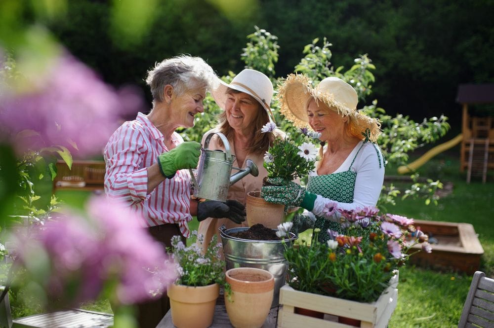 Epic List of 179 Activities and Hobbies for Empty Nesters!